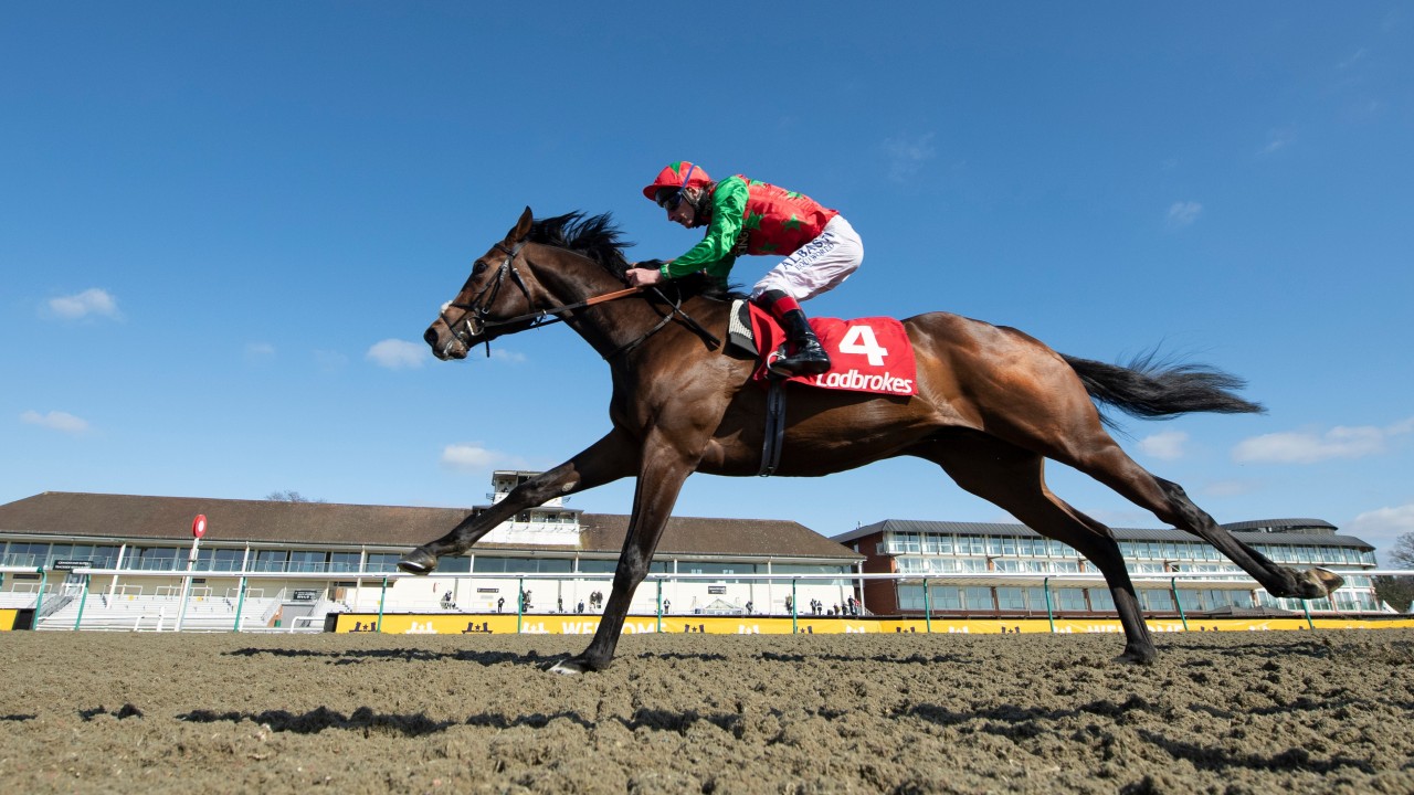 TPD Ride of the Week - 13/02/2023 - Total Performance Data