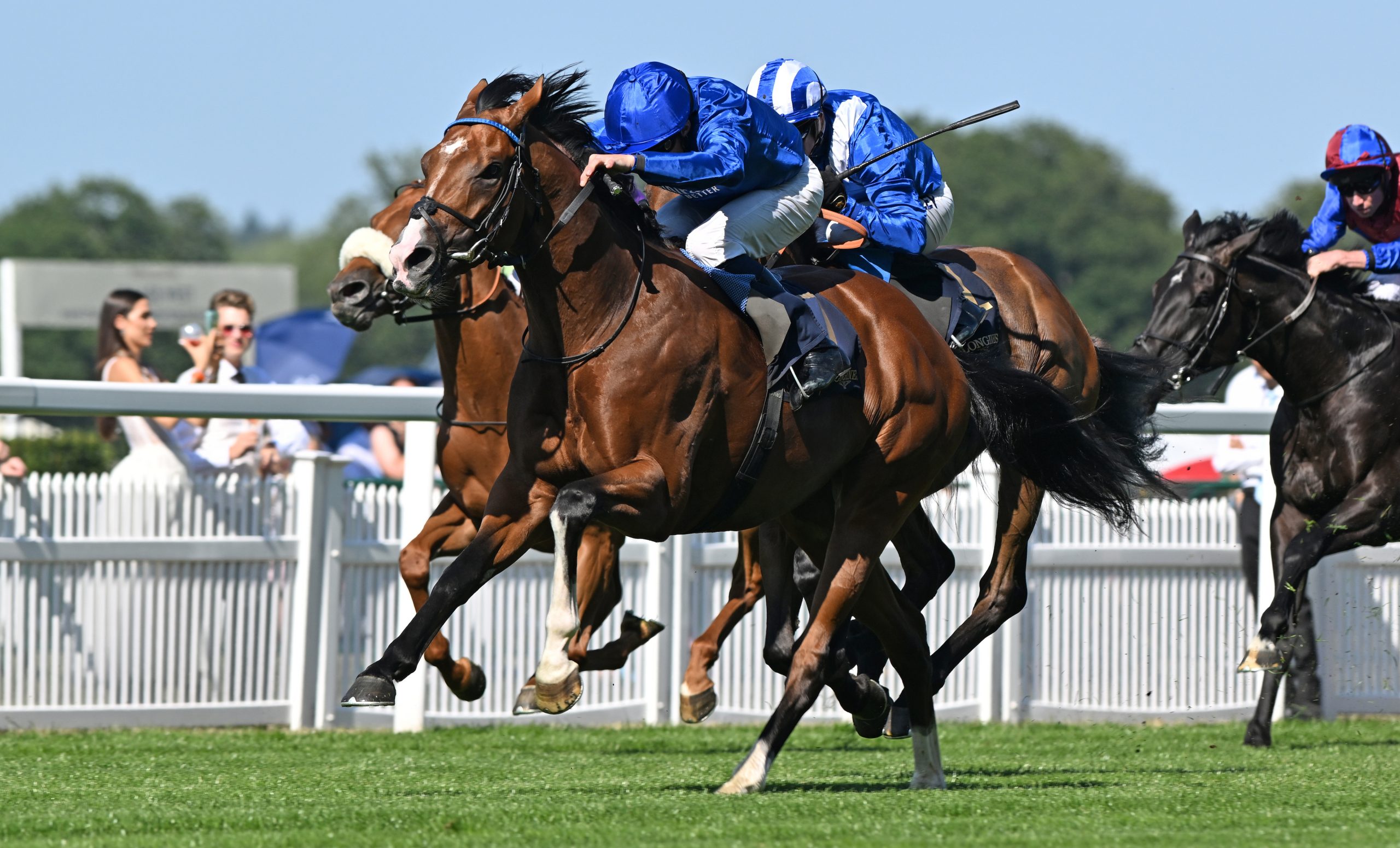 Royal Ascot 2026 - Key Data Talking Points - Total Performance Data